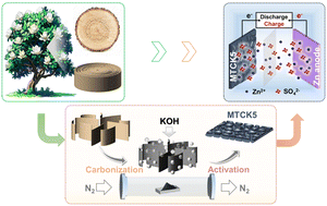N/O co-doped hierarchical porous carbon nanosheets with enhanced Zn-ion ...