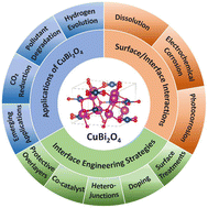 Interfacial chemistry of CuBi2O4 in aqueous media: engineering ...