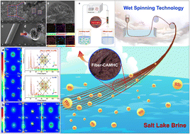 One-pot fabrication of fiber-CAMHC for sustainable rubidium recovery ...