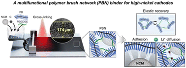 A multifunctional polymer brush network binder for high-nickel cathodes ...