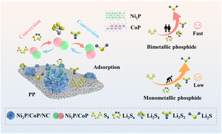 Accelerating lithium polysulfide conversion kinetics with a bimetallic ...