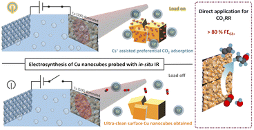 Cation- and CO2-assisted electrochemical synthesis of clean, shape-controlled Cu nanocrystals ...