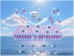 In situ constructed Bi/BiOBr nanoflower for synergistic H2O2 generation ...