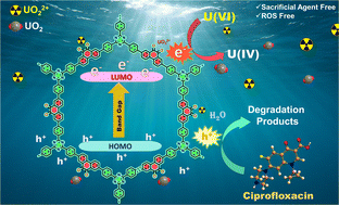 Efficient exciton dissociation and harvesting for the sacrificial agent ...