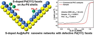 S-doped defective Pd{111} facets endow Au@AuPd nanowire networks with ...