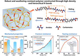 A mechanically robust polyurethane elastomer with excellent crack ...