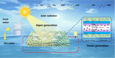 Preparation of gradient heterogeneous hydrogels by Pickering emulsion ...