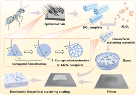 Biomimetic hierarchical scattering coatings via interfacial molecular ...