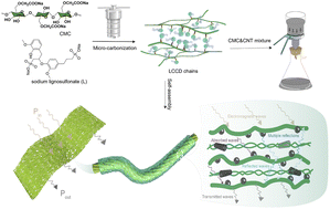 Assembly of a micro-carbonized lignin-cellulose mixture and carbon ...
