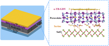 Nano-graphdiyne derivative and natural amino acid molecule as bilateral ...