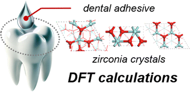 Molecular insights into adhesive mechanisms of phosphate-based dental ...