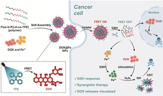 GSH/pH-sensitive Förster resonance energy transfer nanoparticles for ...