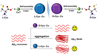 Self-assembled cysteine–copper chiral nanoparticles for inhibiting ...