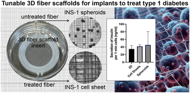 Insulin-producing INS-1 cell cultures on biomimetic 3D scaffolds ...