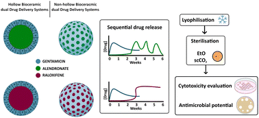 Dual and sequential drug delivery systems with antimicrobial and bone ...