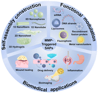Matrix metalloproteinase-triggered self-assembling peptides for ...