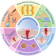 Insights into advanced dressings based on shape memory materials for ...
