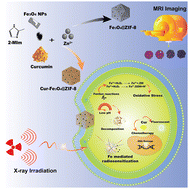 A multifunctional curcumin–Fe3O4@ZIF-8 nanoformulation as a T2 MRI ...