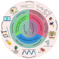Research progress in high-throughput DNA synthesis and its applications ...
