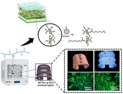 Design, fabrication and comprehensive testing of biodegradable 3D ...