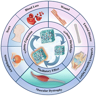 Mechanically active biomaterials for tissue repair and regeneration ...