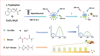 Smartphone-integrated colorimetric and fluorometric sensor based on ...