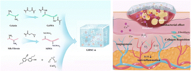A multifunctional composite hydrogel with natural polymer silk fibroin ...