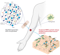 Smart antimicrobial wound dressings based on mechanically and ...