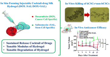 An in situ-forming injectable silk hydrogel with a cocktail of ...