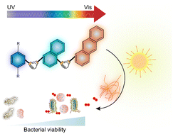 Visible-light-responsive supramolecular enzyme mimics for combating ...