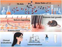 Supramolecular adenosine-based skin delivery system for hair regulation ...