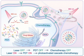 Porphy-based drug-delivery nanoparticles for photodynamic therapy and ...