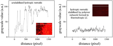 Liquid crystal-refilled polymer network templates formed by photo ...