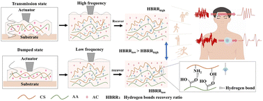 A damping hydrogel with high water retention and strong adhesion for ...