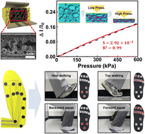 Porous conductive composite-based robust smart insole with linear ...
