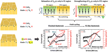 Ferroelectric and field-induced ferroelectric phase formation in atomic ...