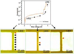 Localized redox filament formation in biopolymer-based RRAM devices for ...
