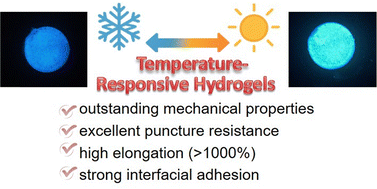 Temperature-responsive hydrogels with adaptive coloration and superior ...