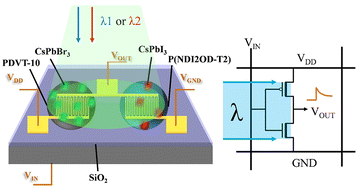 Wavelength-sensitive CMOS-like optoelectronic inverter circuits based on solution-processable ...