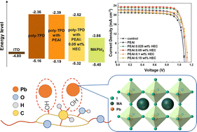 Multifunctional interface modification to enhance the performance of perovskite solar cells ...