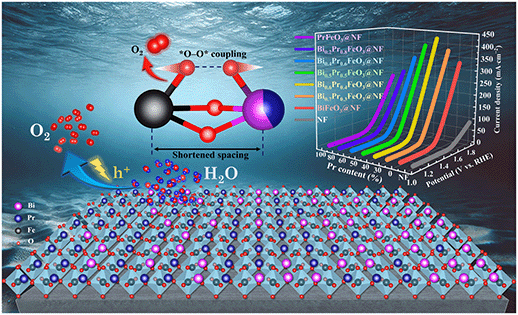 Pr-induced dual-site oxide pathway in BiFeO3 for enhanced alkaline ...