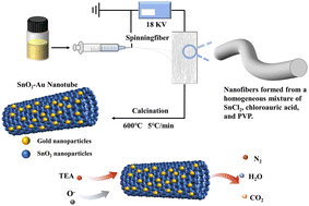 High-performance triethylamine gas sensors based on SnO2–Au nanotubes ...