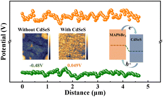 Self-power and high gain photodetection of a type-II MAPbBr3 single ...