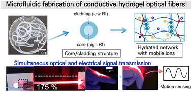 Microfluidic fabrication of dual-functional hydrogel optical fibers ...