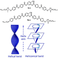 Competition between helical and heliconical twist in the development of ...