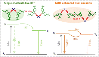 Transformation from room temperature phosphorescence to TADF enhanced ...