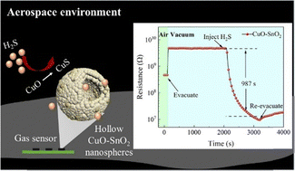 Design of a ppb-level gas sensor based on hollow nanosphere structures ...