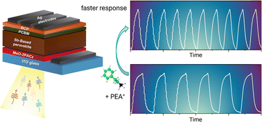 Quadruple-cation lead-free perovskite-inspired materials enable high ...
