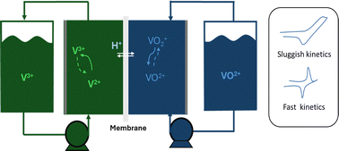 Enhanced electrocatalytic performance of phosphorus and metal oxide ...