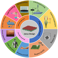 Janus interfaces with asymmetric wettability: from fundamental ...